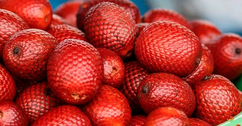 10 Beneficios del Aguaje: El Secreto Amazónico para la Belleza y la ...